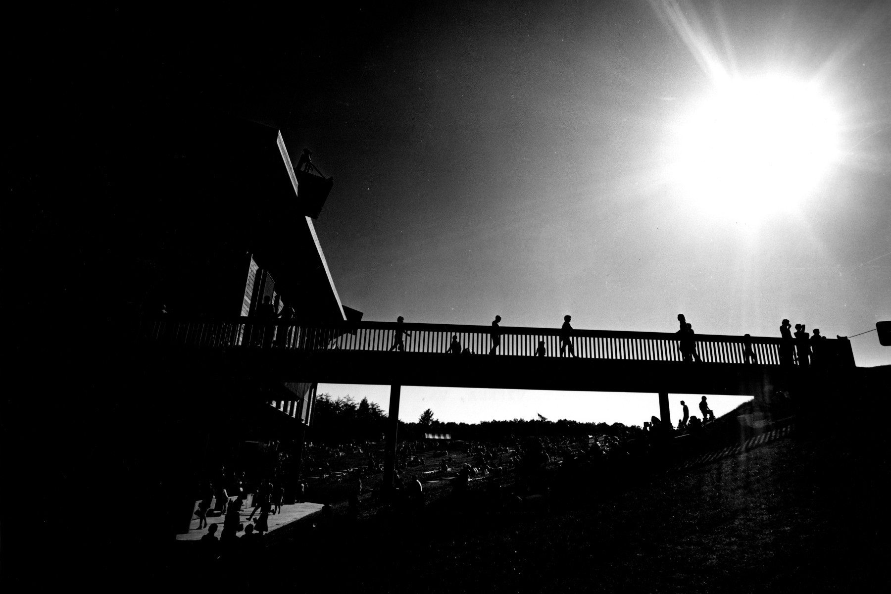 Filene Center at Wolf Trap || Architect Edward F. Knowles + Architect ...